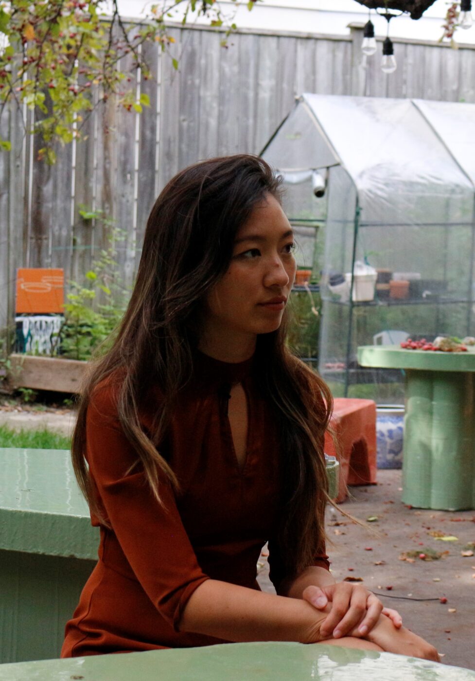 Land trusts come together to fight gentrification in Chinatown - The ...